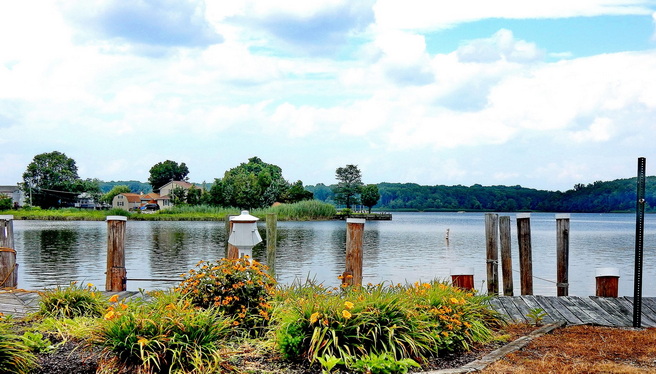 Hack’s Point: A Natural Spot for Summer Visitors